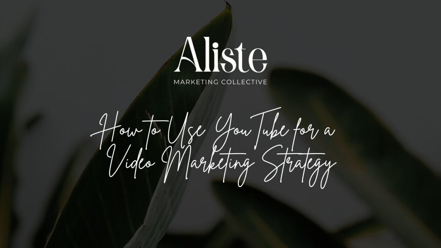 How to Use YouTube for a Video Marketing Strategy - Aliste Marketing ...