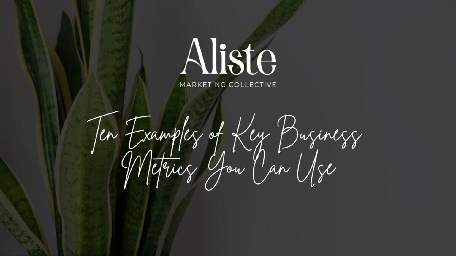10 Examples of Key Business Metrics You Can Use - Aliste Marketing ...